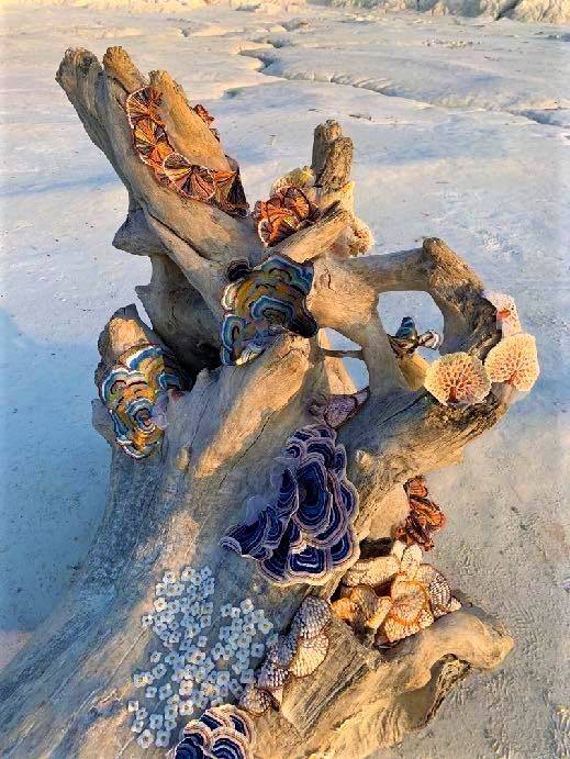 A brand new Dawn for fashion - Ethel Da Costa